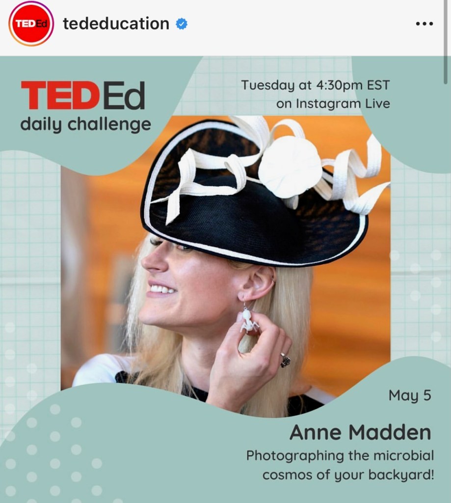 Anne A. Madden, Ph.D – Microbial Discovery | Strategy | Innovation